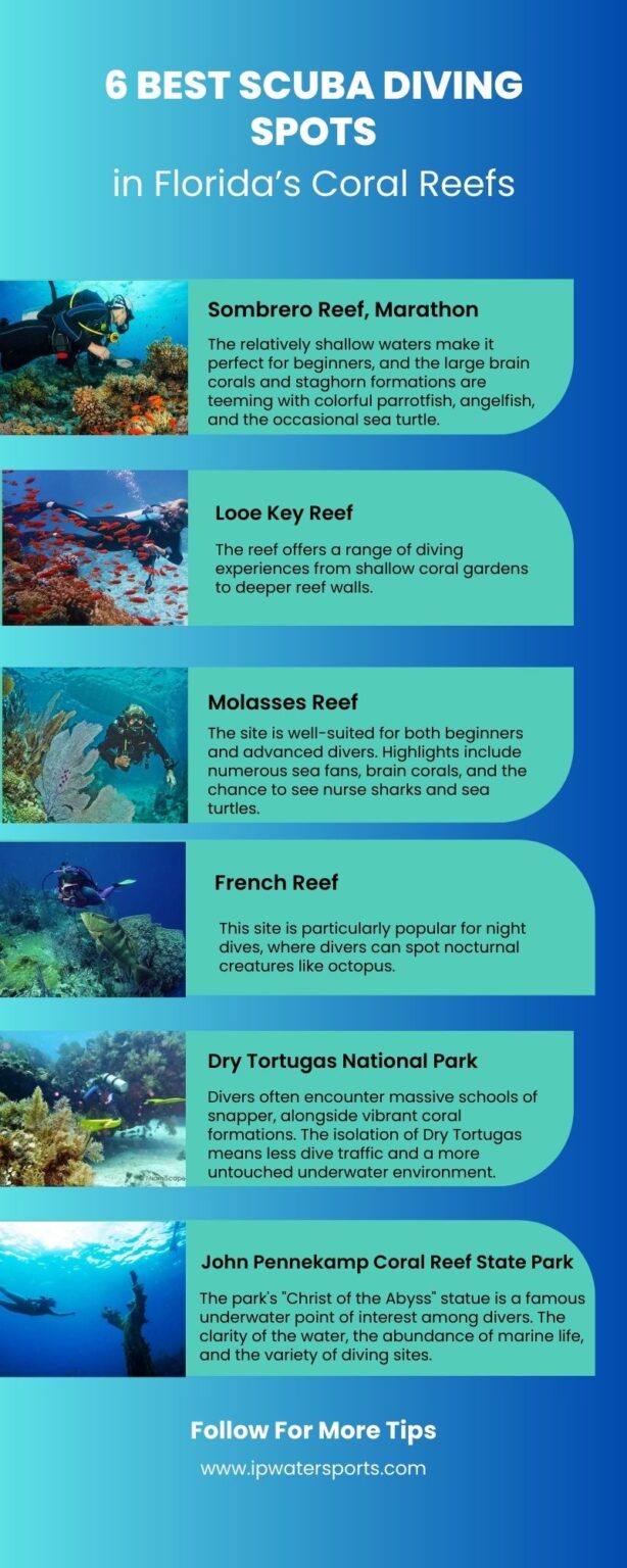 6 Best Scuba Diving Spots in Florida’s Coral Reefs - Ip Water Sports